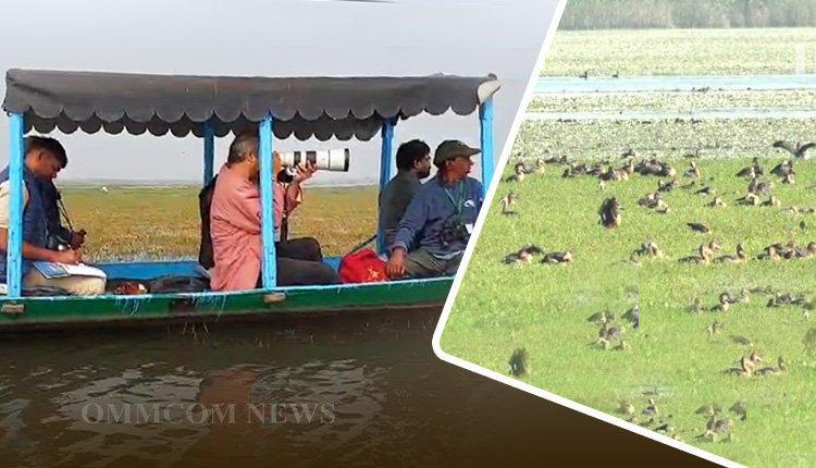 Migratory Bird Counting Begins In Chilika Lake | Odisha