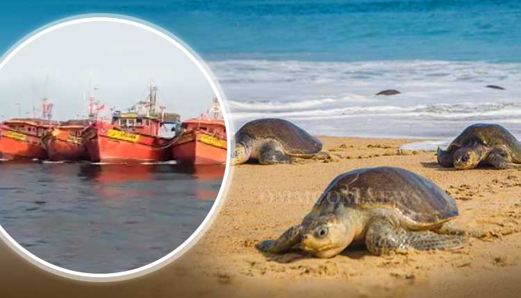 Forest Personnel Engaged In Turtle Protection Drive Escape Attack Bid ...